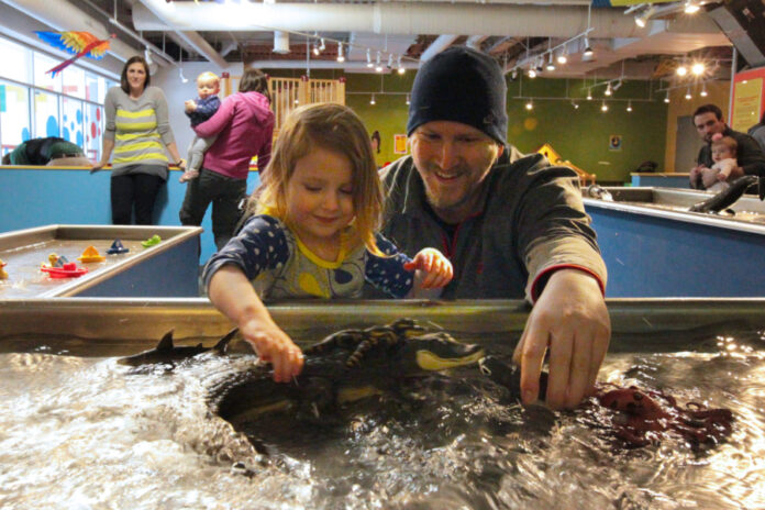 12 Weekday Ann Arbor Activities to Do With Your Toddler - Ann Arbor Family