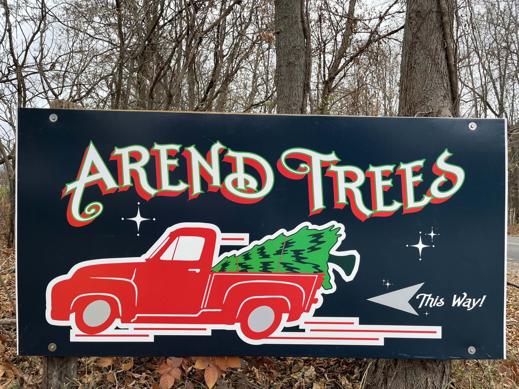 Where to Cut Your Own Christmas Trees in the Ann Arbor Area - Ann Arbor ...
