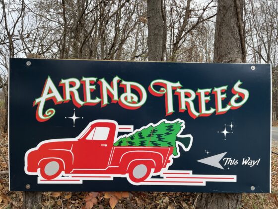 Where to Cut Your Own Christmas Trees in the Ann Arbor Area - Ann Arbor ...
